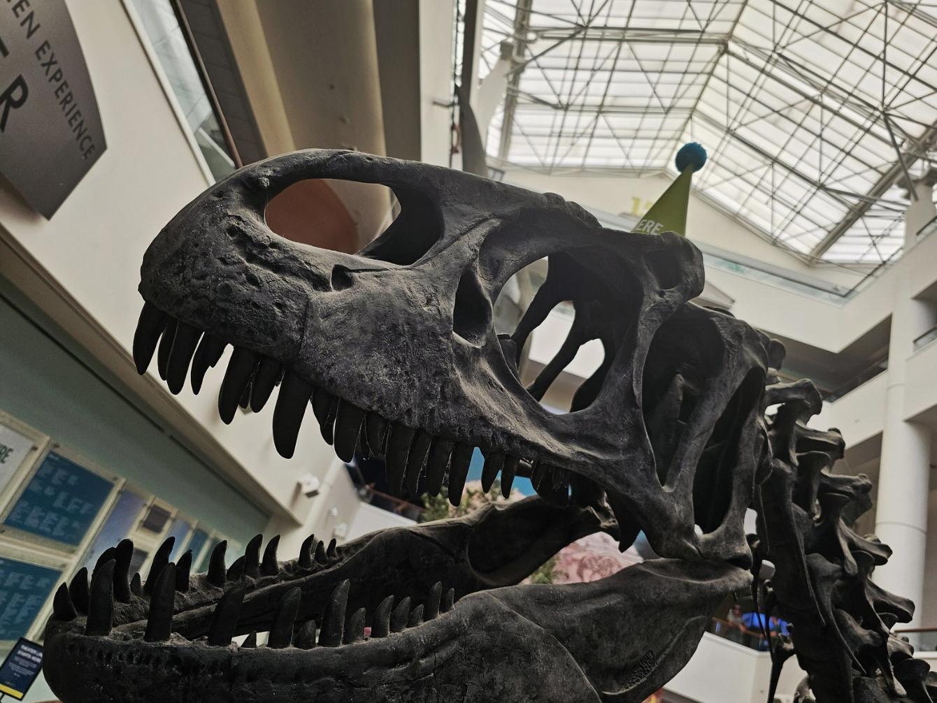 Dinosaurs, Deserts, and Discoveries: Exploring The Nat in Balboa Park ...