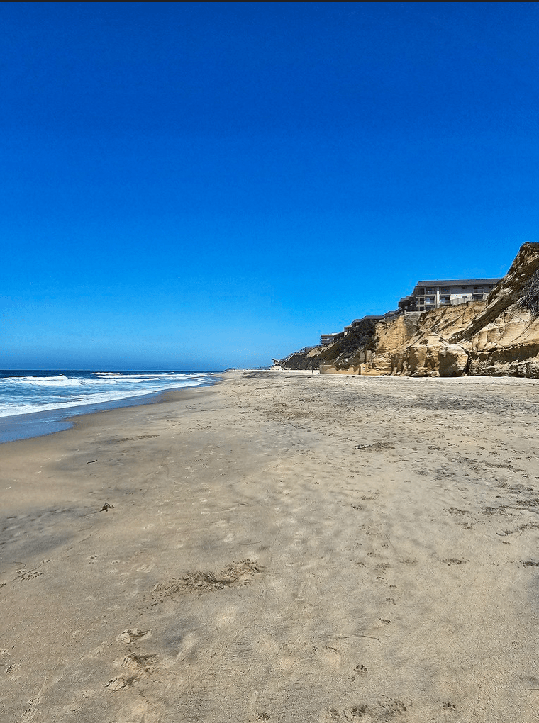 Del Mar Dog Beach: A Canine Paradise by the Sea – Exploring San Diego