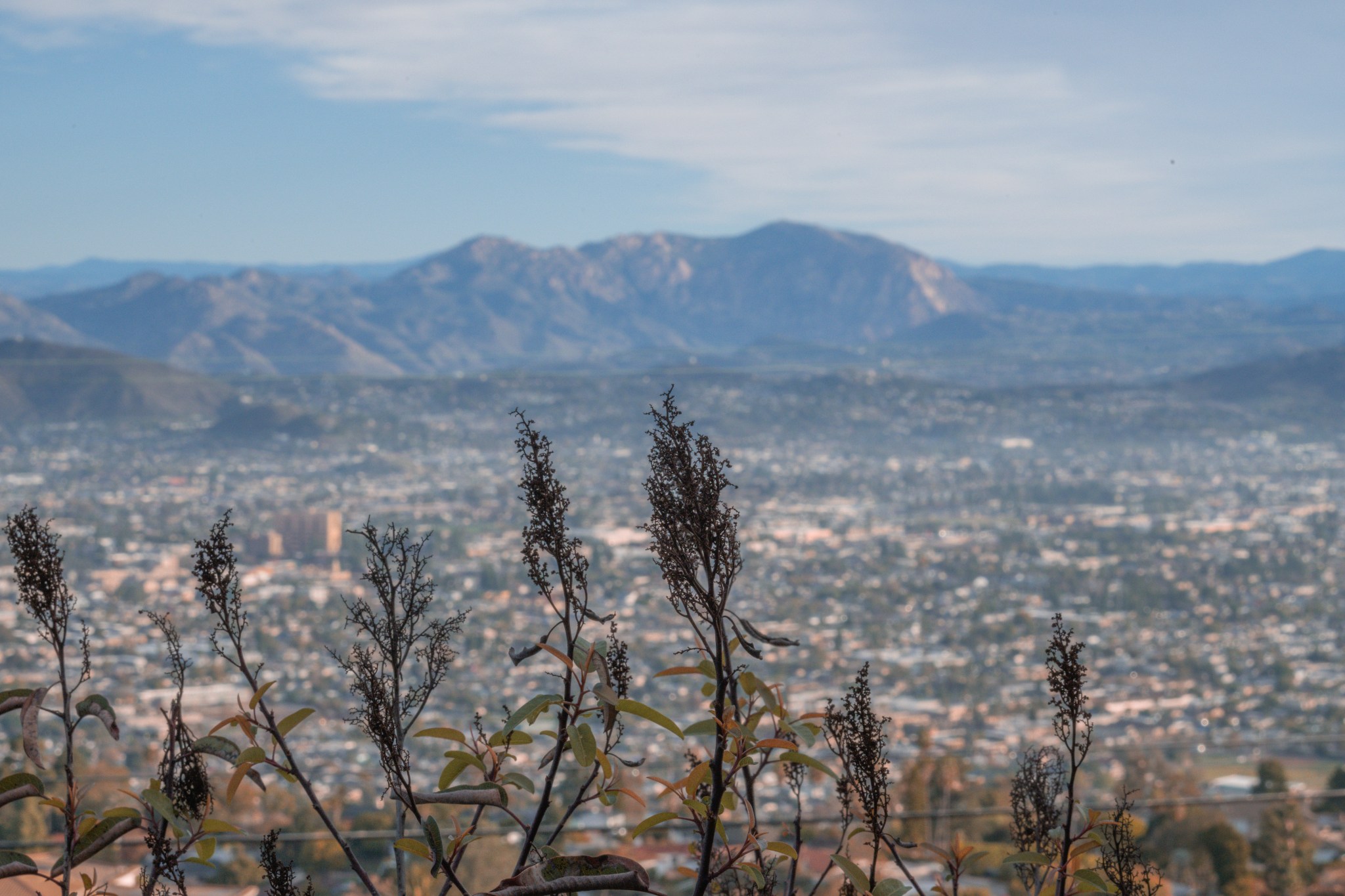 Explore Mount Helix Park: Best Viewpoint in San Diego – Exploring San Diego