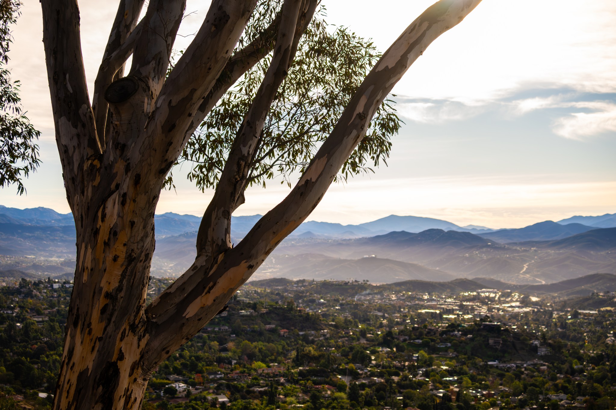 Explore Mount Helix Park: Best Viewpoint in San Diego – Exploring San Diego