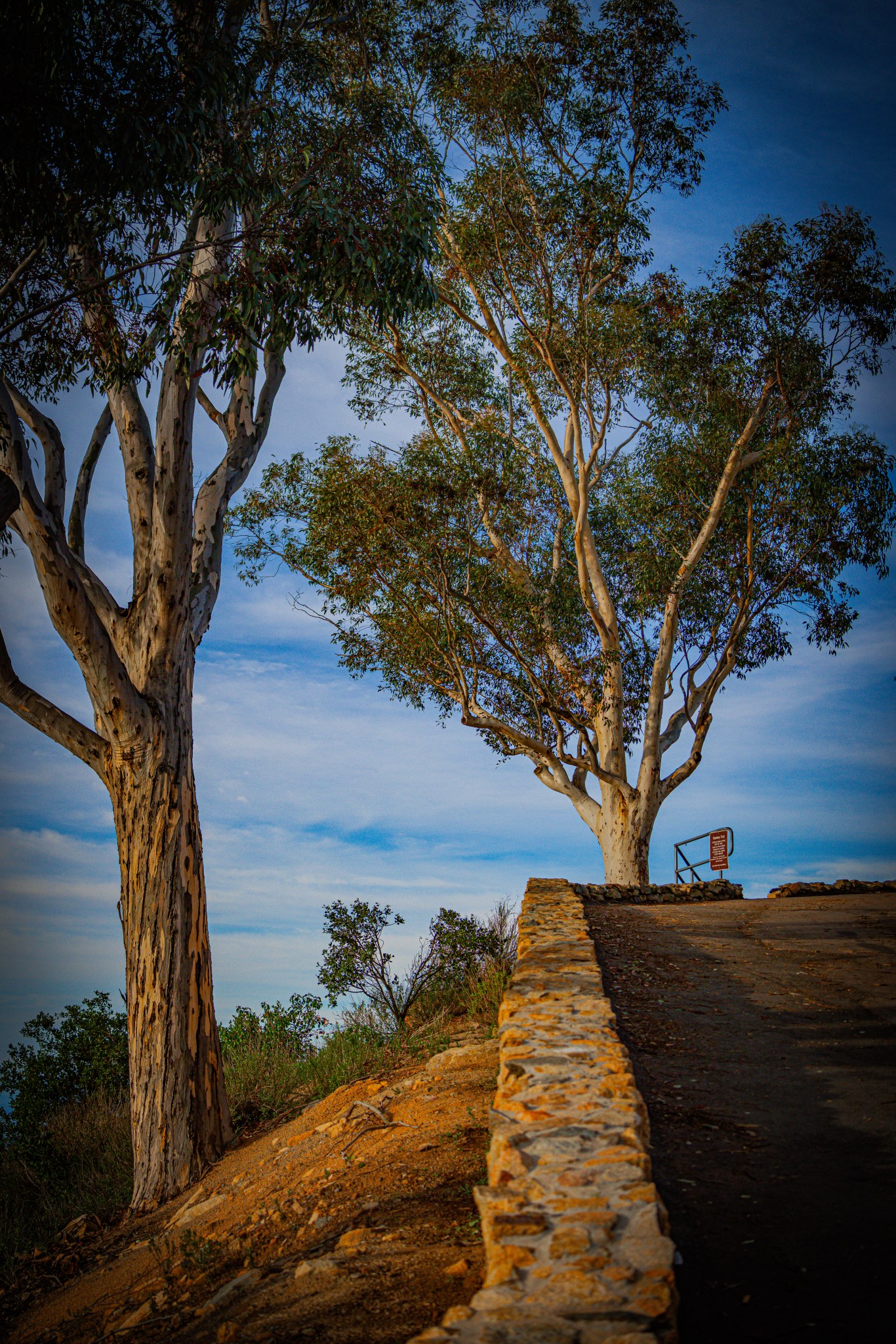 Explore Mount Helix Park: Best Viewpoint in San Diego – Exploring San Diego